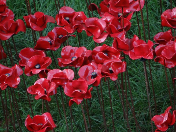 The Poppy and the Tower | thestitchsharer